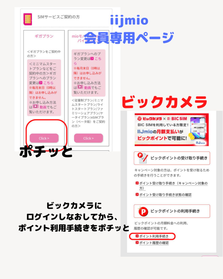 BIC Simにしてみたお話 | noriさんのおとくなくらし